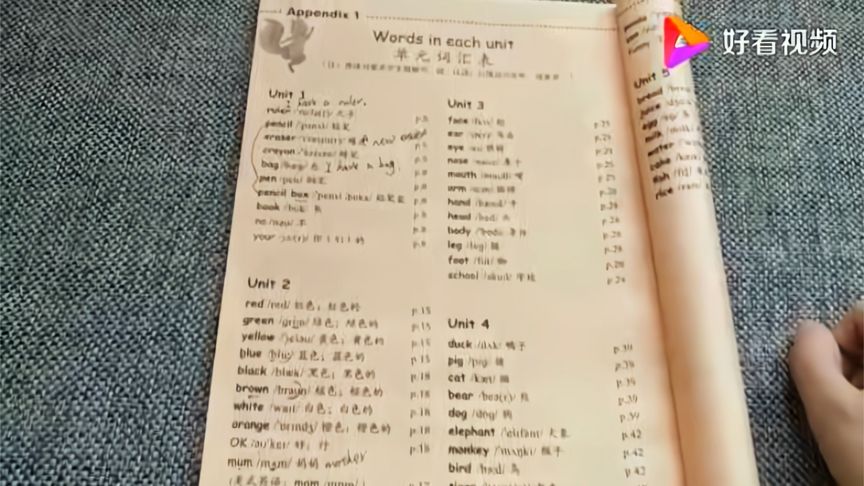 人教版英语三年级(上)第三单元单词精讲