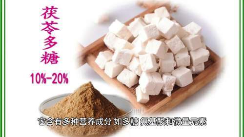 3755.茯苓是什么?
