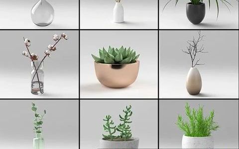C4D室内植物盆栽oc渲染家居多肉绿植模型渲染带材质贴图
