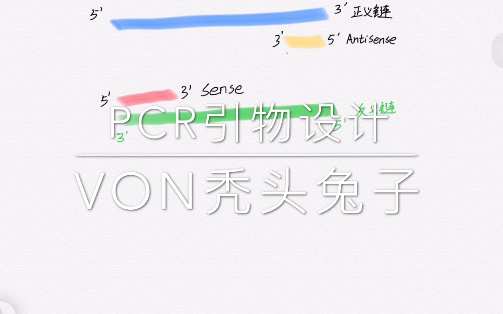 PCR 引物设计