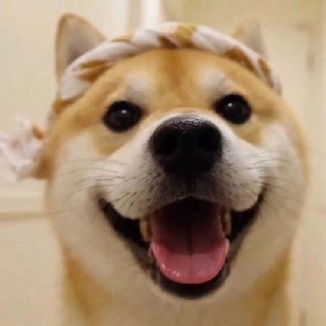 冰冰的箱 