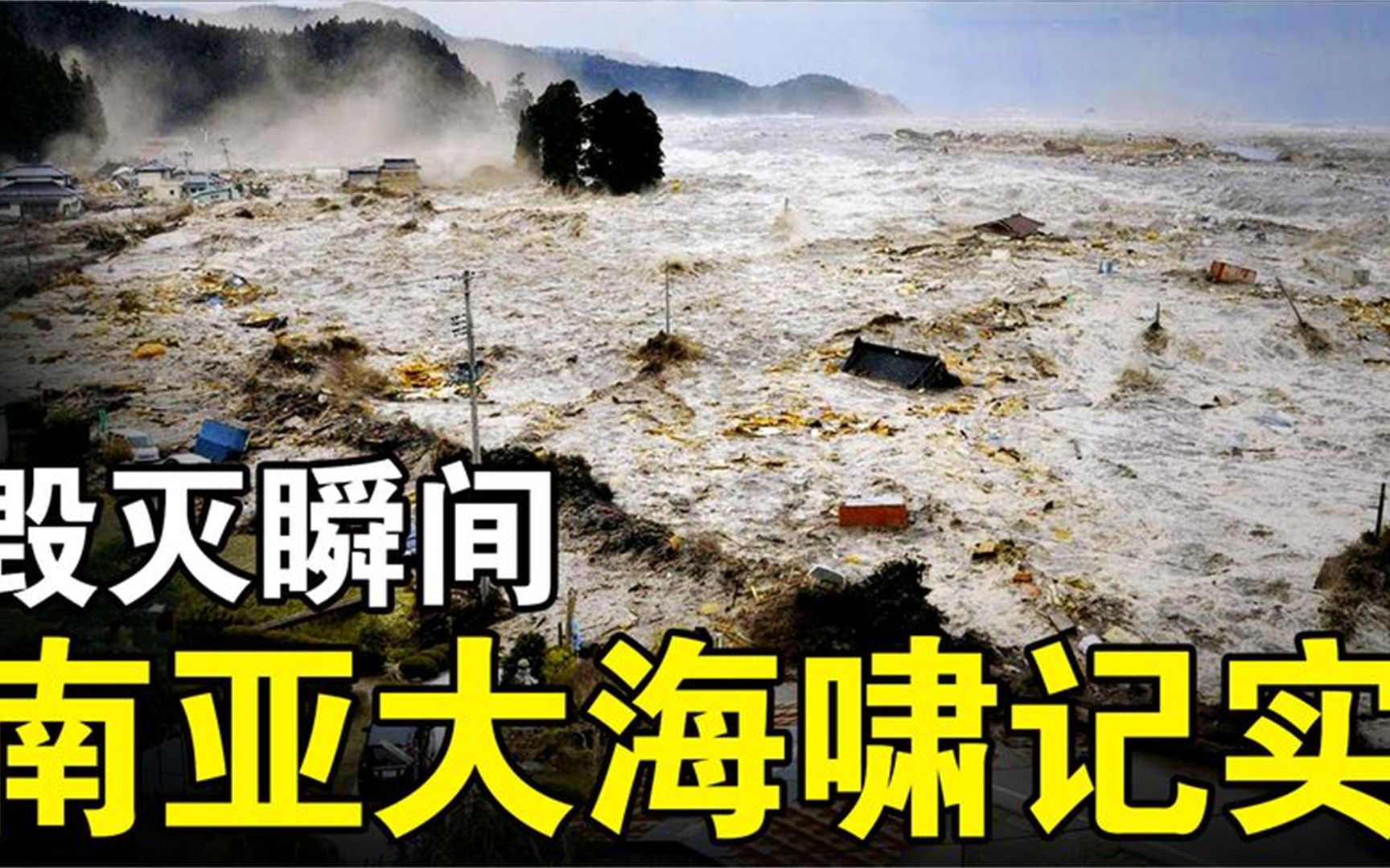 海啸的威力——南亚大海啸记实录!无处可逃,29.2万人不幸遇难!