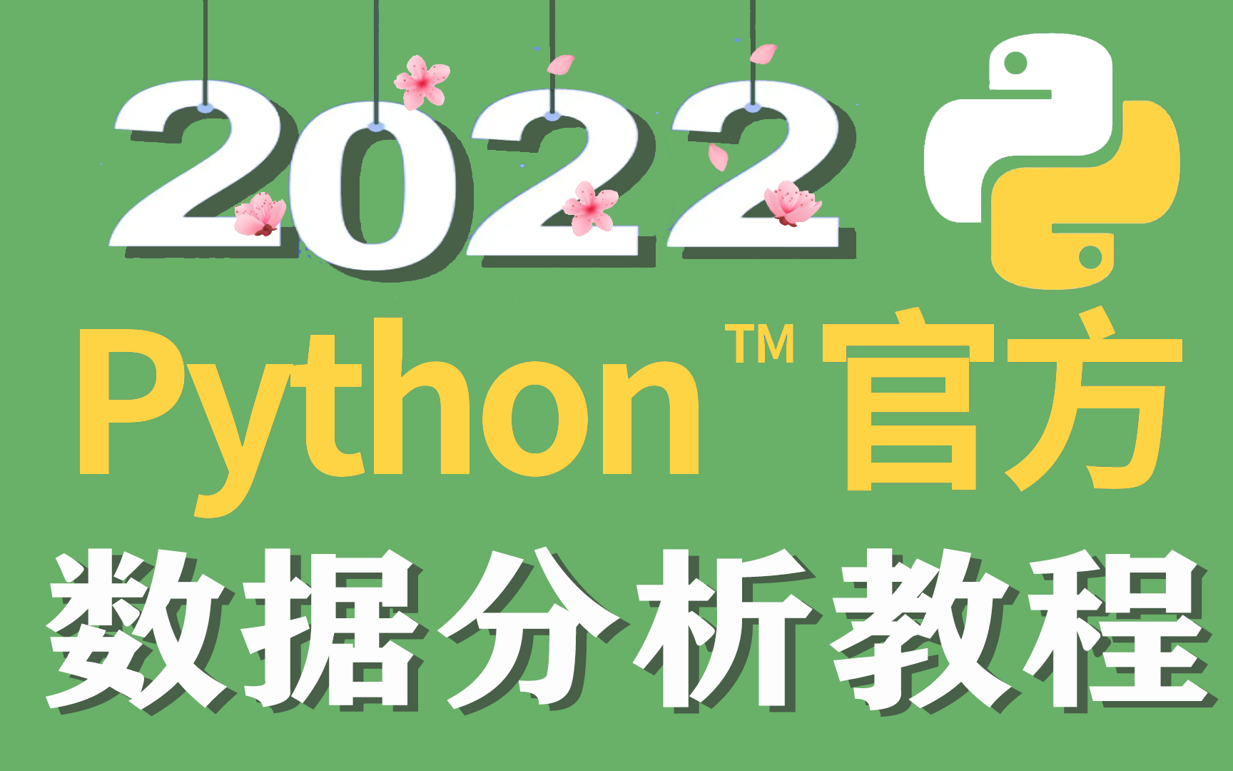 ...必备的Excel/SQL/Python/数据黑话/产品竞品|市场分析报告制作、数据...