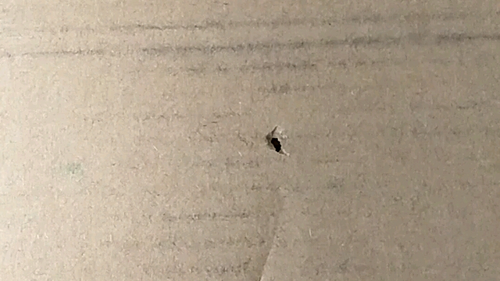 玩具牛头301穿纸箱