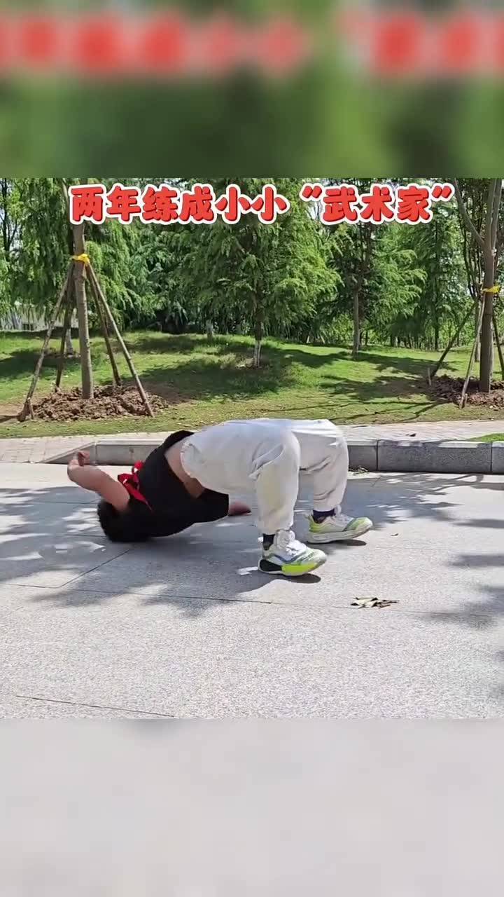 破茧成蝶:蜕变的美丽旅程