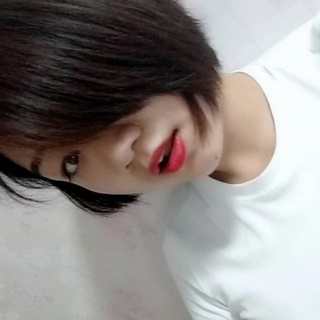 多米解说 