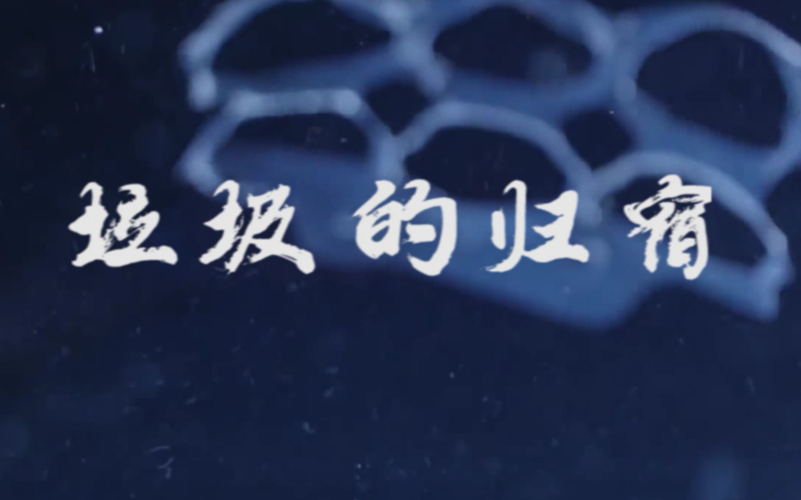 垃圾的归宿—垃圾分类暑期实践宣传