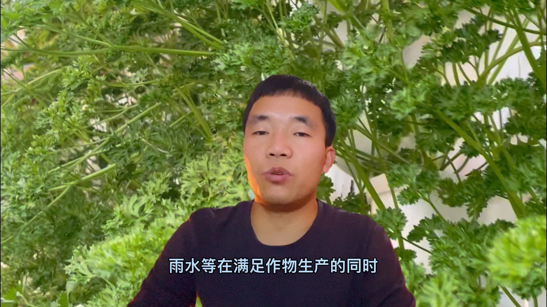 无土栽培的应用——理论篇:无土栽培应用范围。除了这些,还有?
