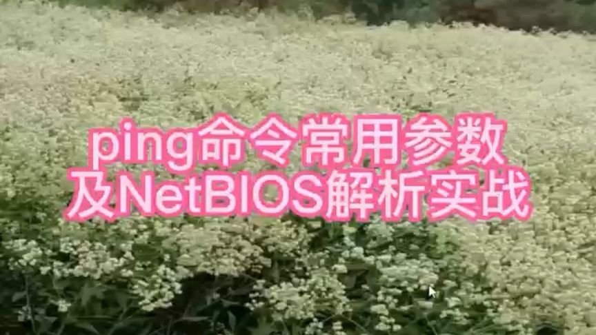 ping命令常用参数及netbios解析实战