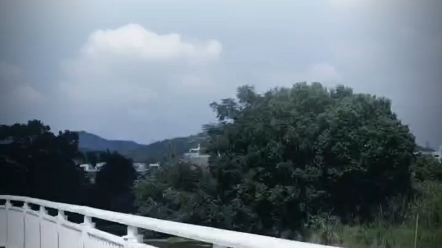 护栏围栏栏杆隔离栏隔离网栅栏护栏网防护栏锌钢隔离护栏科普知识