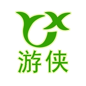 资阳游侠电脑 