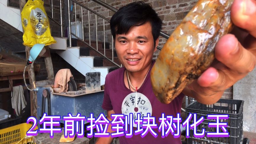 小伙2年前捡到块树化玉,整整收藏了2年,今天有了答案