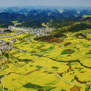 天下同安 