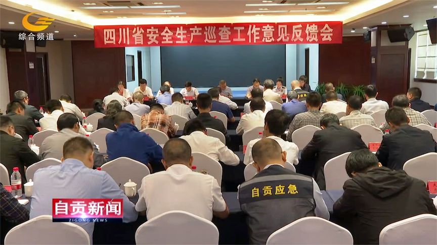 省安全生产巡查工作意见反馈会召开 何树平作表态发言