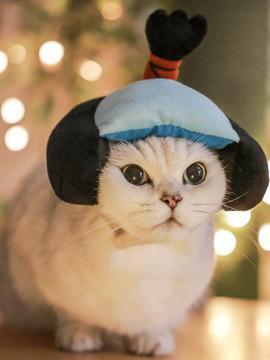 花花与三猫CatLive: 全自动触控发声玩具 ₍ᐢ •͈ ༝ •͈ ᐢ₎♡

#...