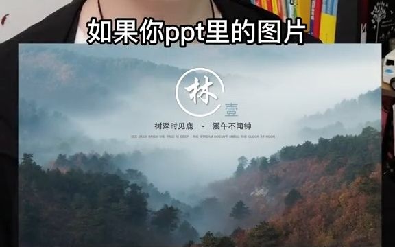 一张普通的照片在PPT里能让他像视频一样动起来,这种效果是怎么操作...