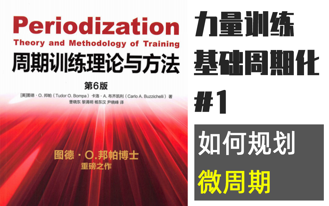 力量训练的基础周期化①:如何规划微周期的训练?