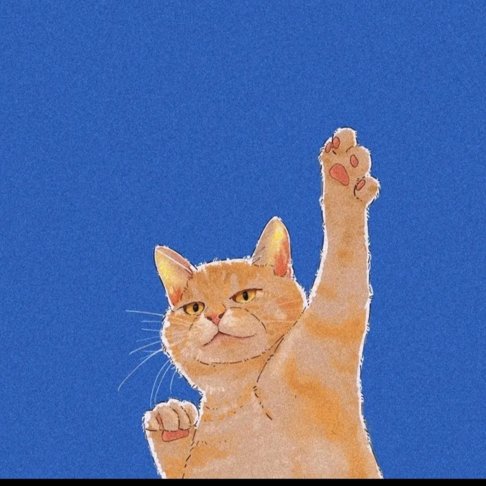 非常爱学习的猪 