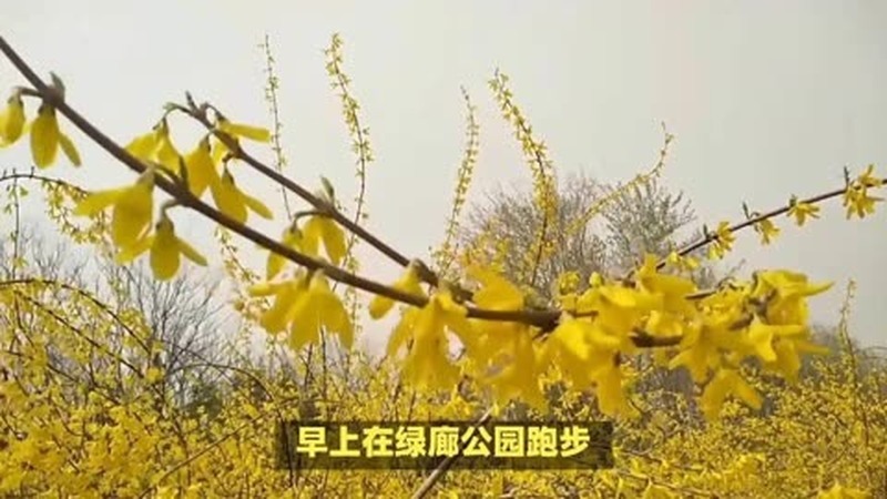 今日惊蛰|春雷响,万物长,惊蛰吃5宝,一年无灾扰