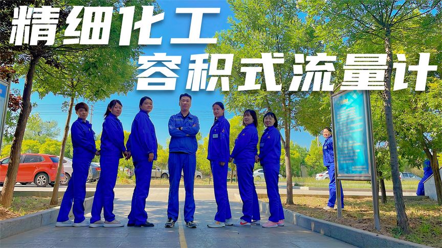 容积式流量计.mp4