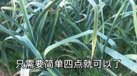 如何给自己定位?很简单啦,只需要简单4点就可以了ߘ