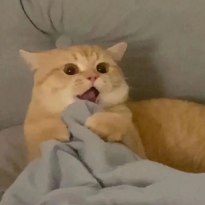 蓄力再出发 