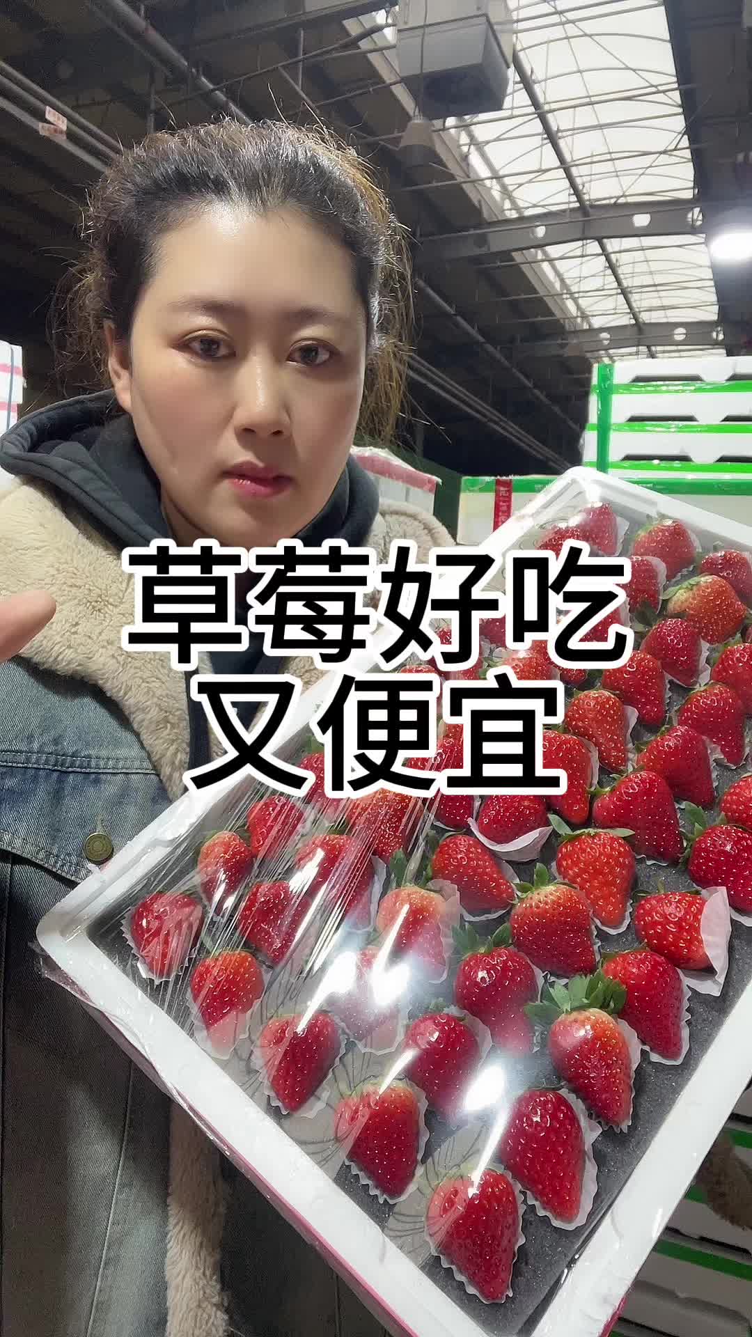 草莓价格大跳水 便宜又好吃#草莓 #同城热点