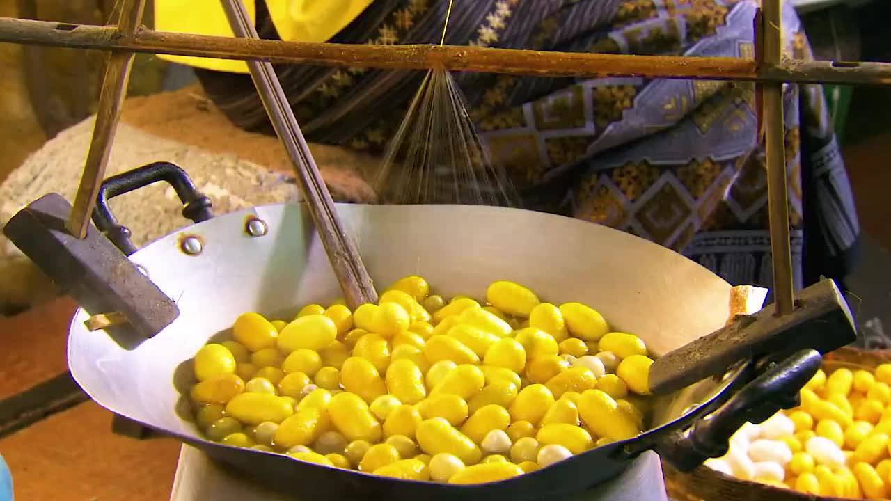 蚕丝是如何加工成丝绸的?先把蚕茧煮上3分钟,再抽丝后进行纺织