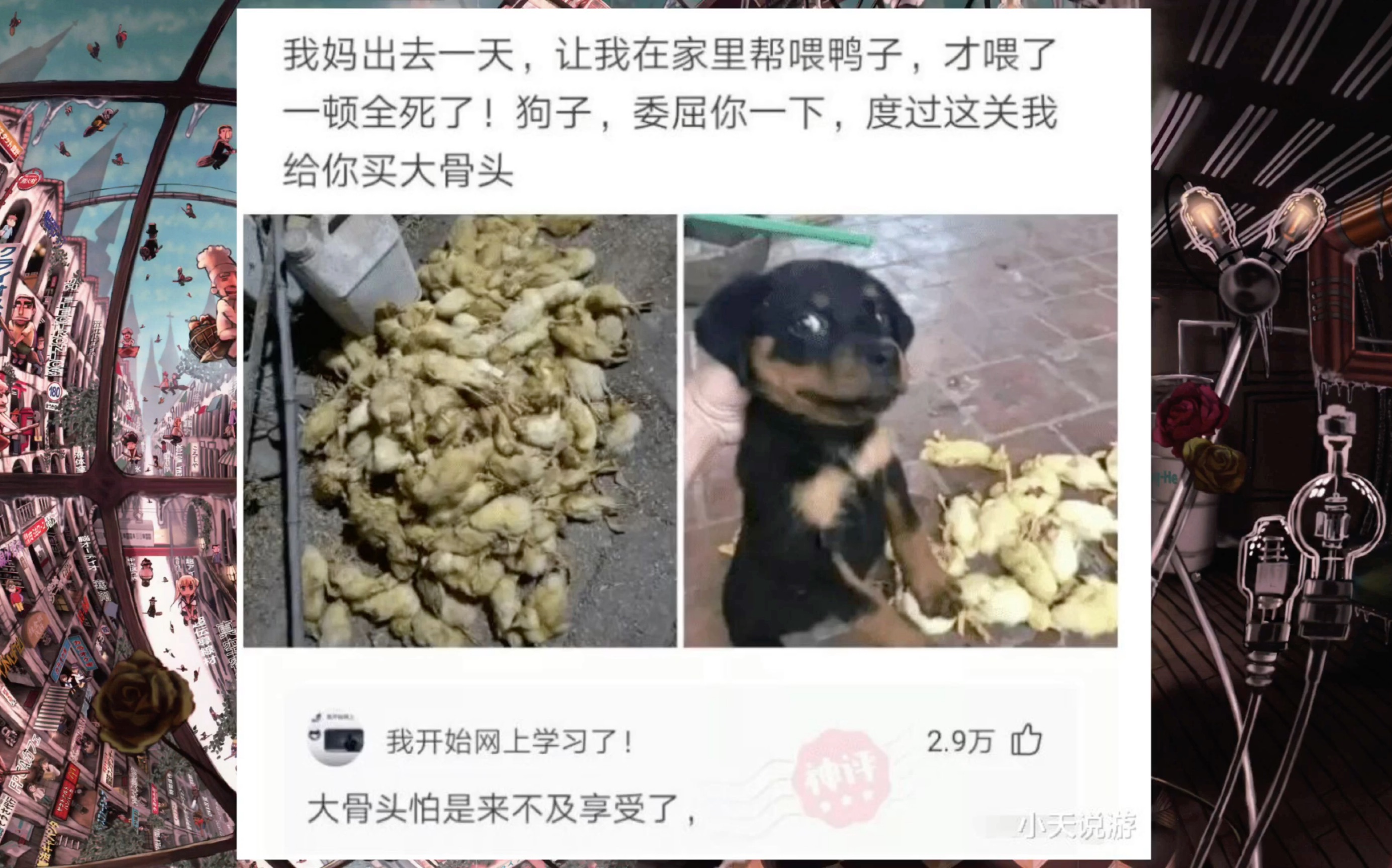 网络上那些搞笑的沙雕图【第90期】