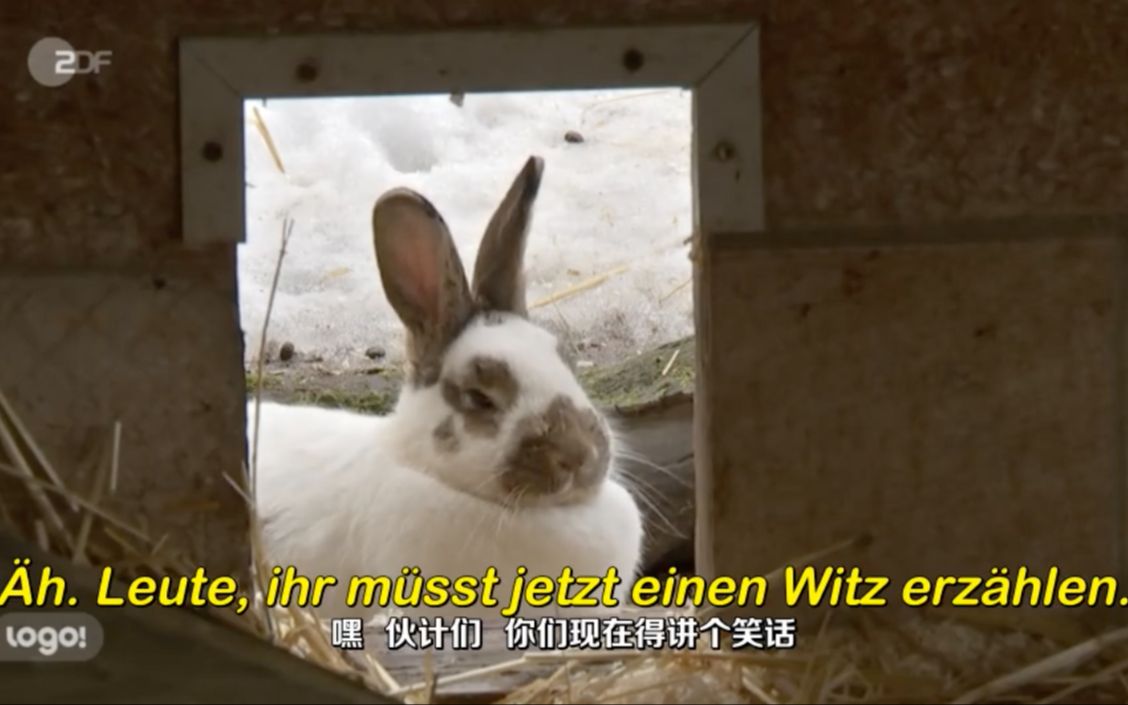 ...| Queerߌ� | 告别Fräulein | 新冠时期调节心情小建议 | | 20220116