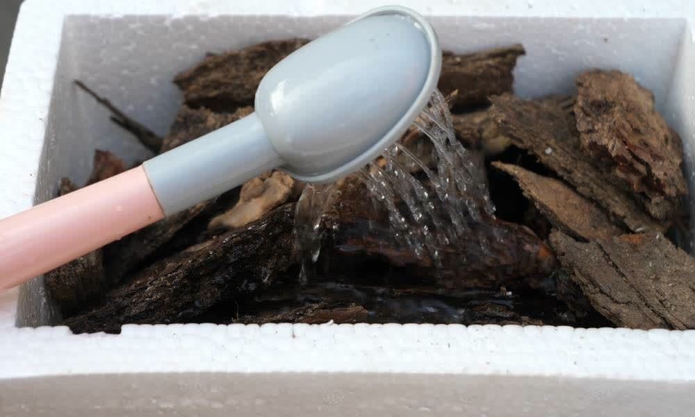 .b>发酵松树皮,简单.