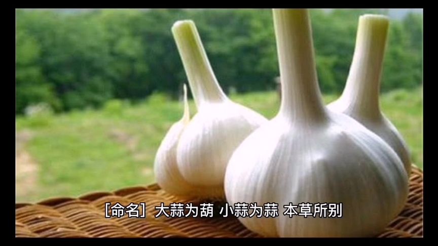 #营养健康又美味 大蒜的功效与作用