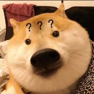 学编程没钱途 