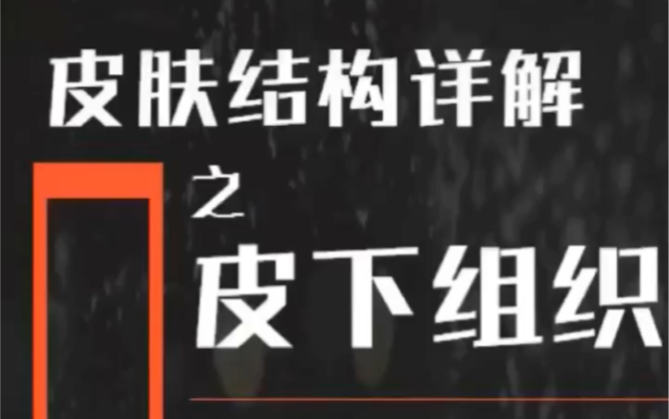 皮肤结构详解之皮下组织