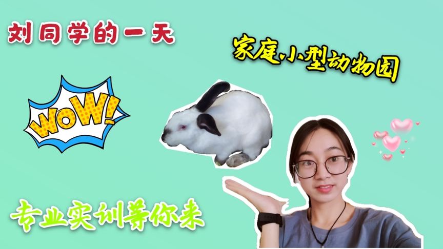 这个夏天,会计生的专业实训和外公家的小型动物园更配哦!