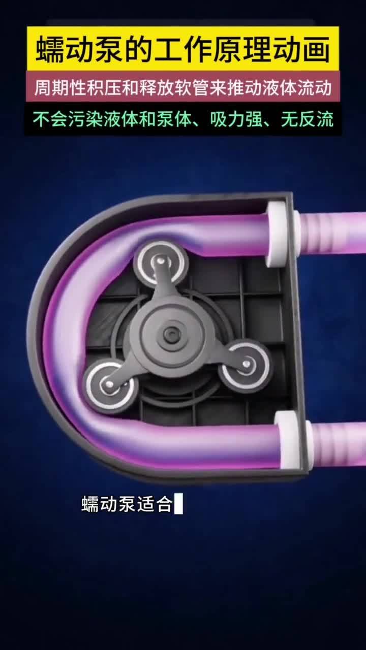 科普:蠕动泵的工作原理动画