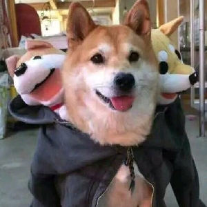 自在如风0_0 