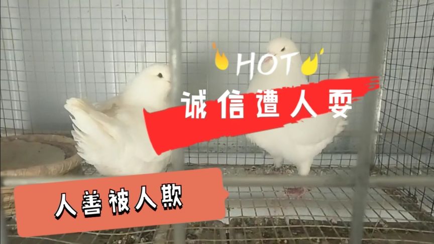 不诚信真可怕,被同一个人连续耍3次,我该生气吗?网友们怎么看