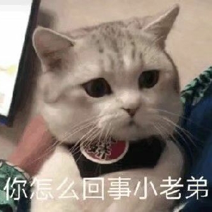 纯真的海绵哟 