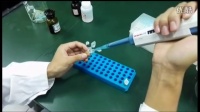 植物基因组DNA的提取
