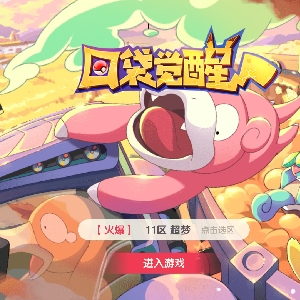 口袋觉醒没什么 