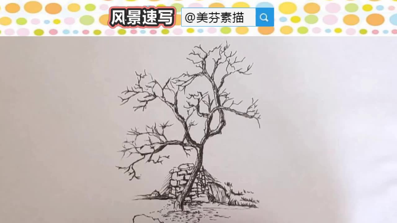风景速写初级入门教程:大树石头风景速写手绘画法步骤!教你画简单又...