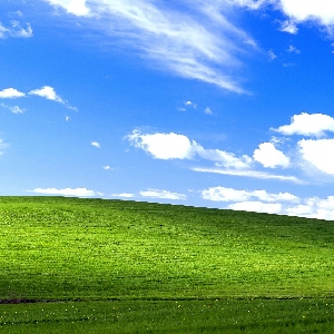 琴瑟琵琶VS魑魅魍魉 