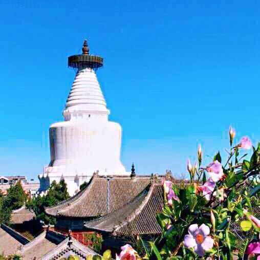 我不是小完美_Mirabel 