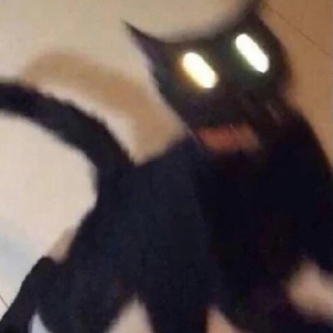 鱼知年 