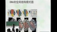 DNA的分子结构(人教版) 高三 新课标高中生物优质课特等奖一等奖...