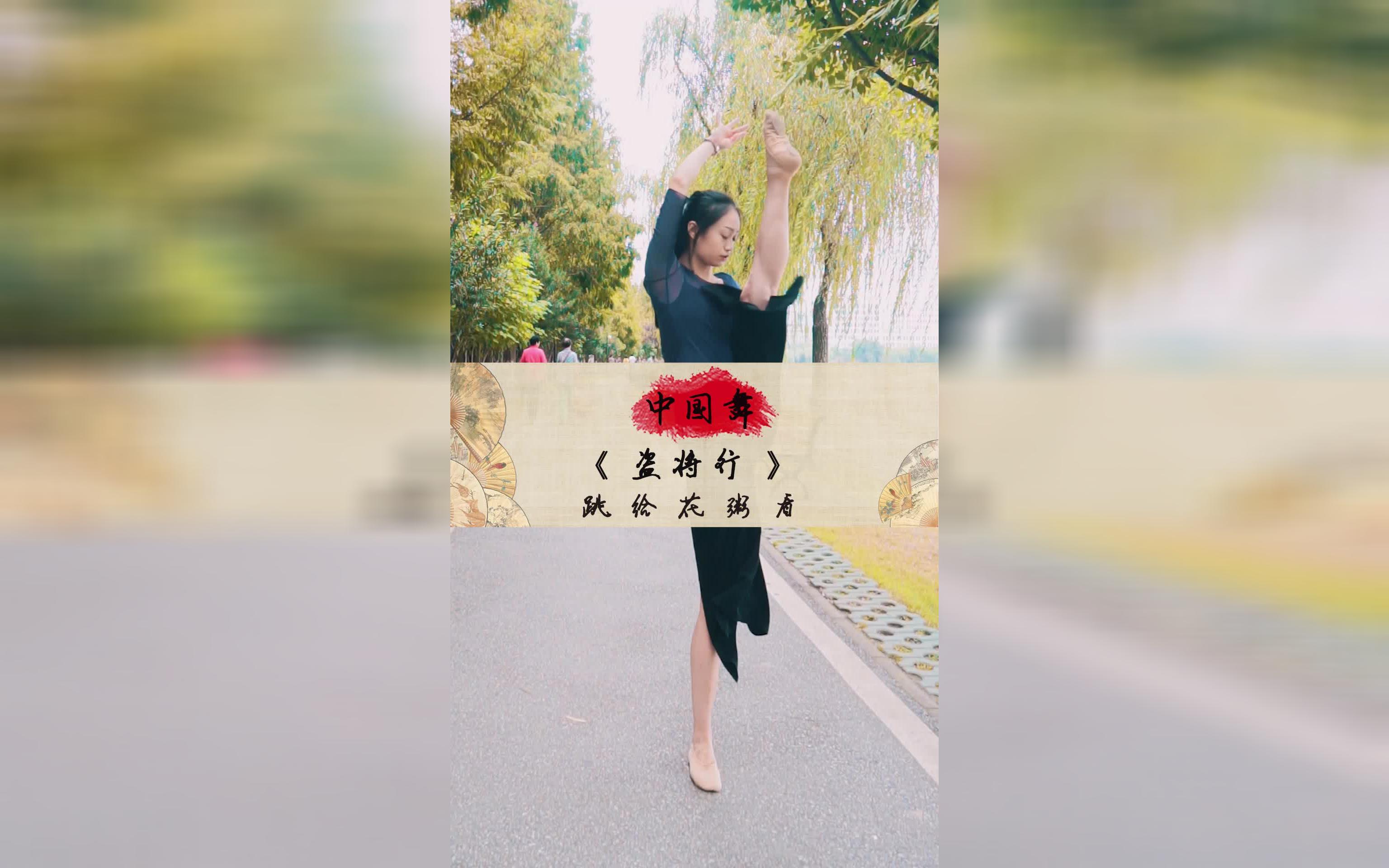 中国舞《盗将行》镜面教程(下)