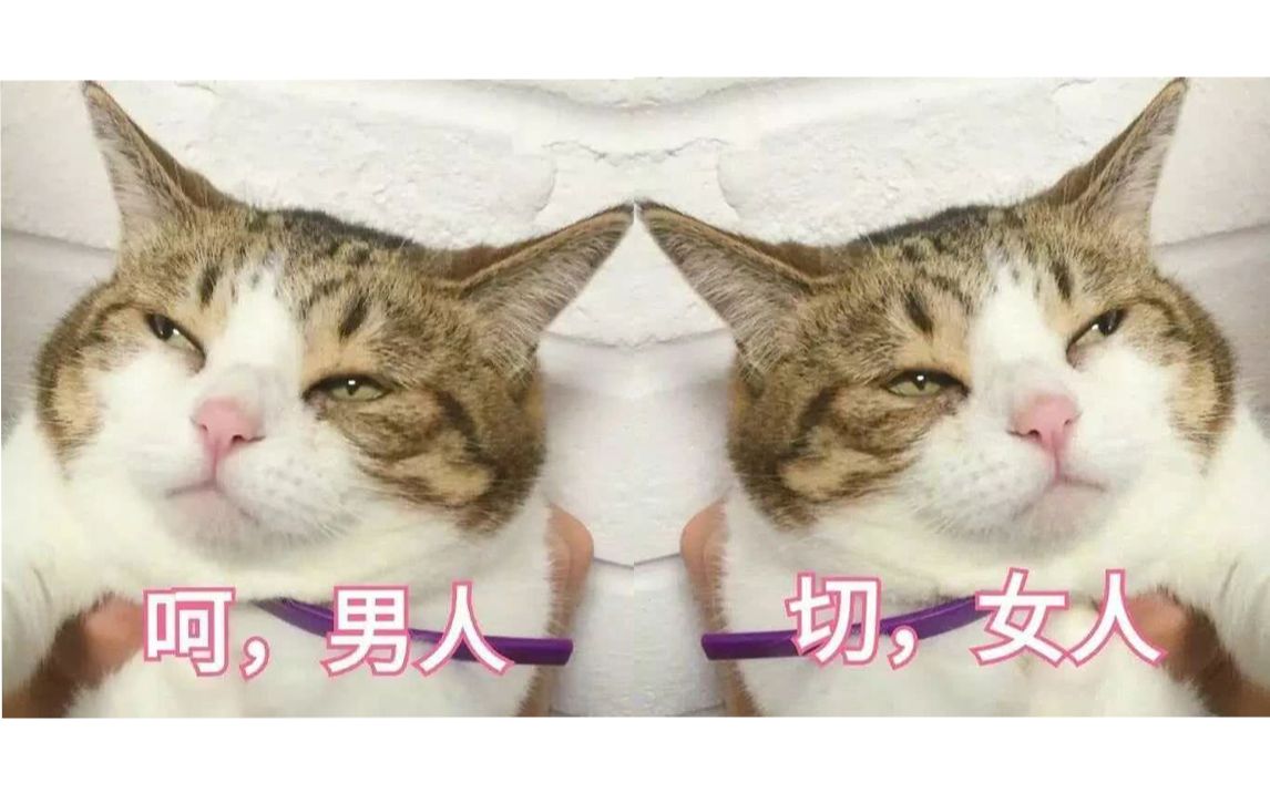 千万不要跟声优斗表情包,否则你将毫无胜算【30】