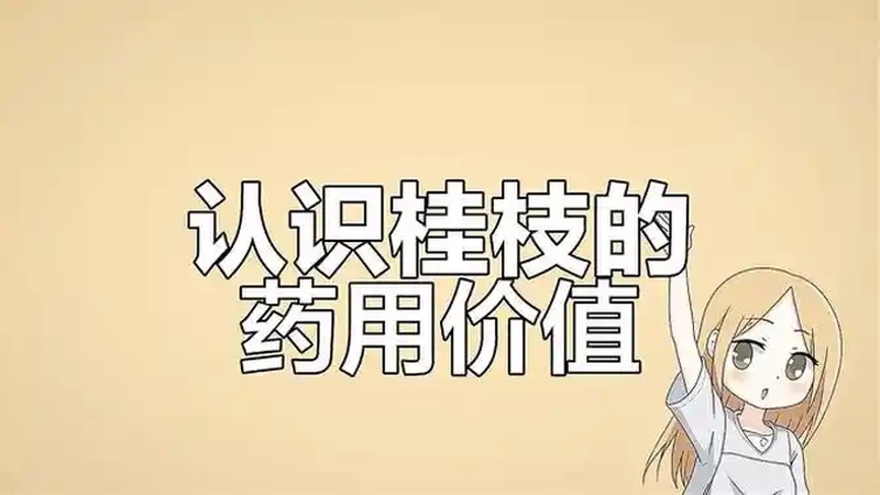 桂枝与肉桂:香气扑鼻的中药搭配