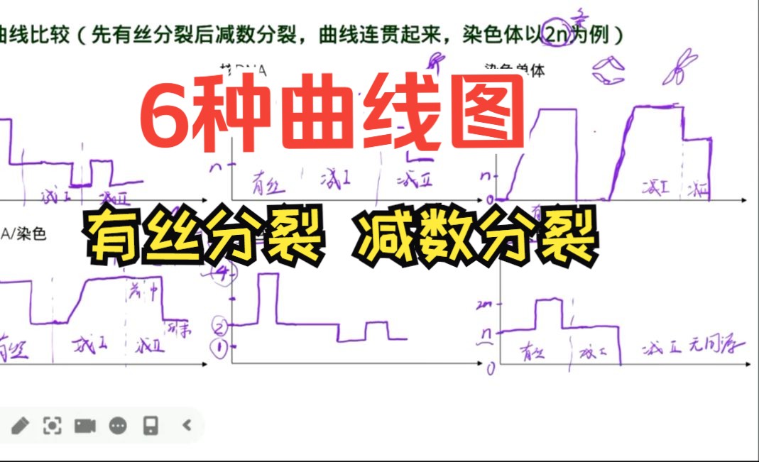 ...有丝分裂、减数分裂染色体组、同源染色体对数、核DNA/染色体、...